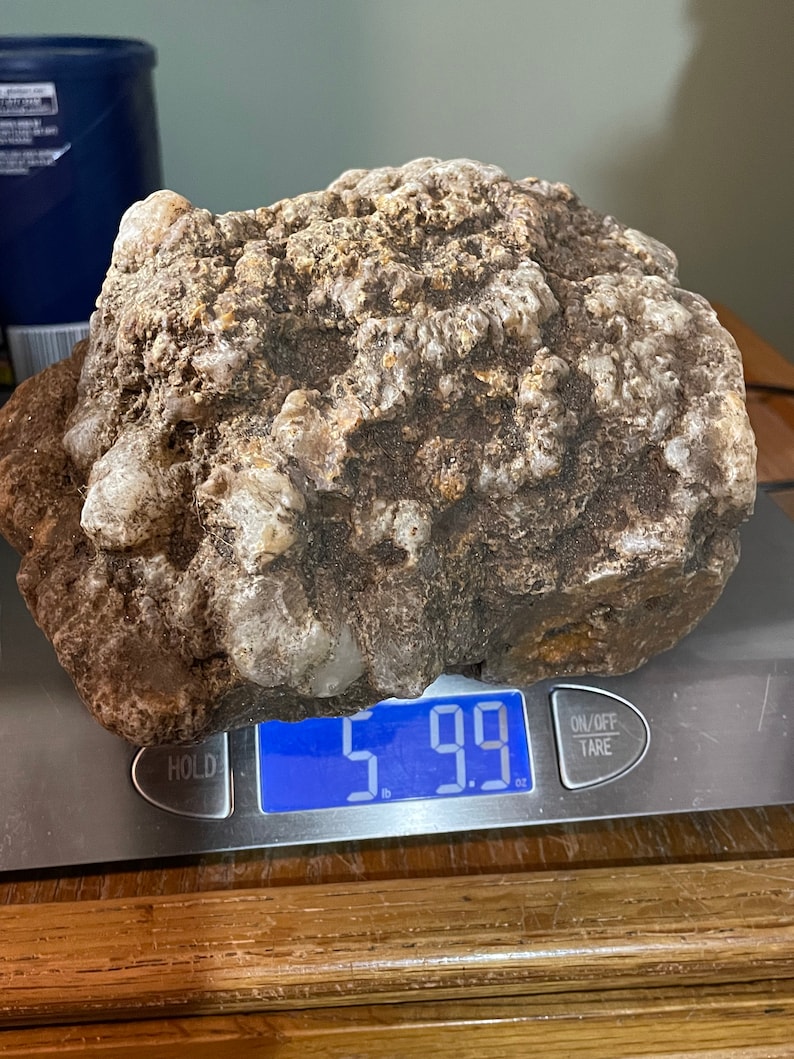 Unopened Indiana Muttonhead Mineraloid Quartz Geode Rock 5 Lb 9.9 Oz ...