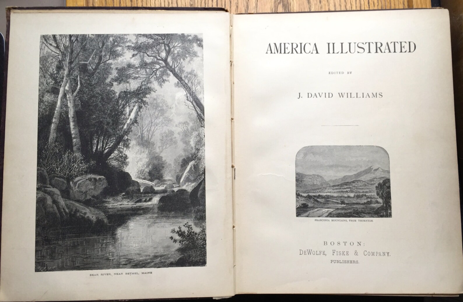 1883 America Illustrated Engravings by J. David Williams | Etsy