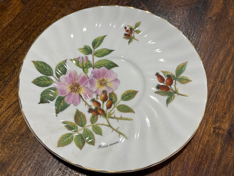 Vintage Regency Bone China Cup and Saucer Made in England - Etsy