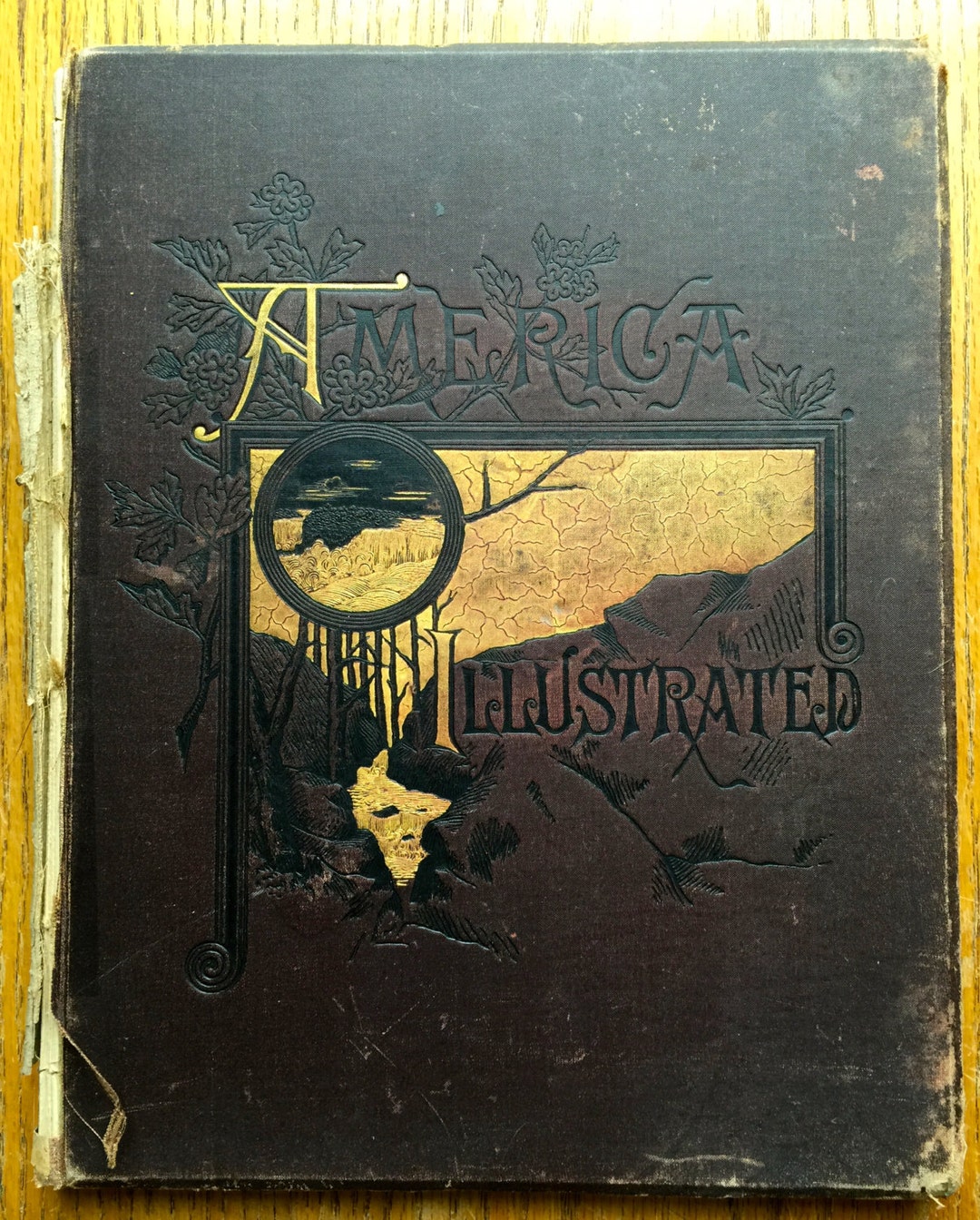 1883 America Illustrated Engravings by J. David Williams - Etsy