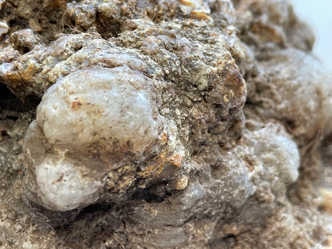 Unopened Indiana Muttonhead Mineraloid Quartz Geode Rock 5 Lb 9.9 Oz ...