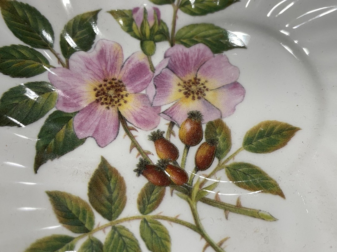 Vintage Regency Bone China Cup and Saucer Made in England - Etsy