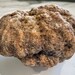 Unopened Indiana Muttonhead Mineraloid Quartz Geode Rock 5 Lb - Etsy