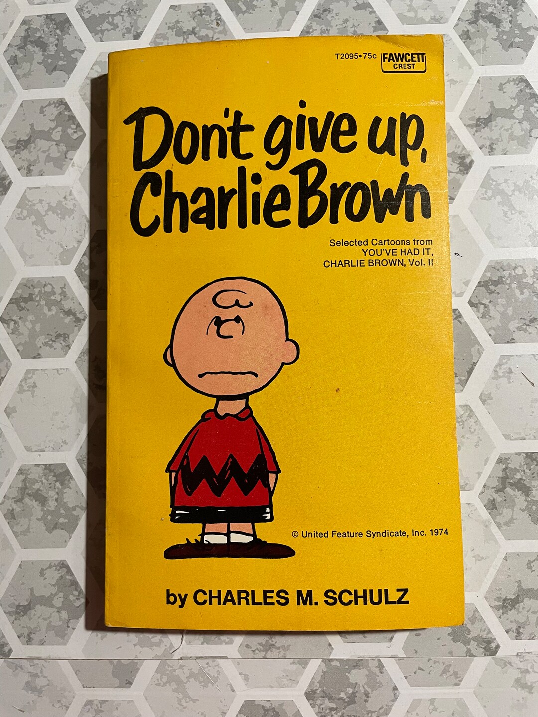 1974 Don't Give up Charlie Brown Paperback - Etsy