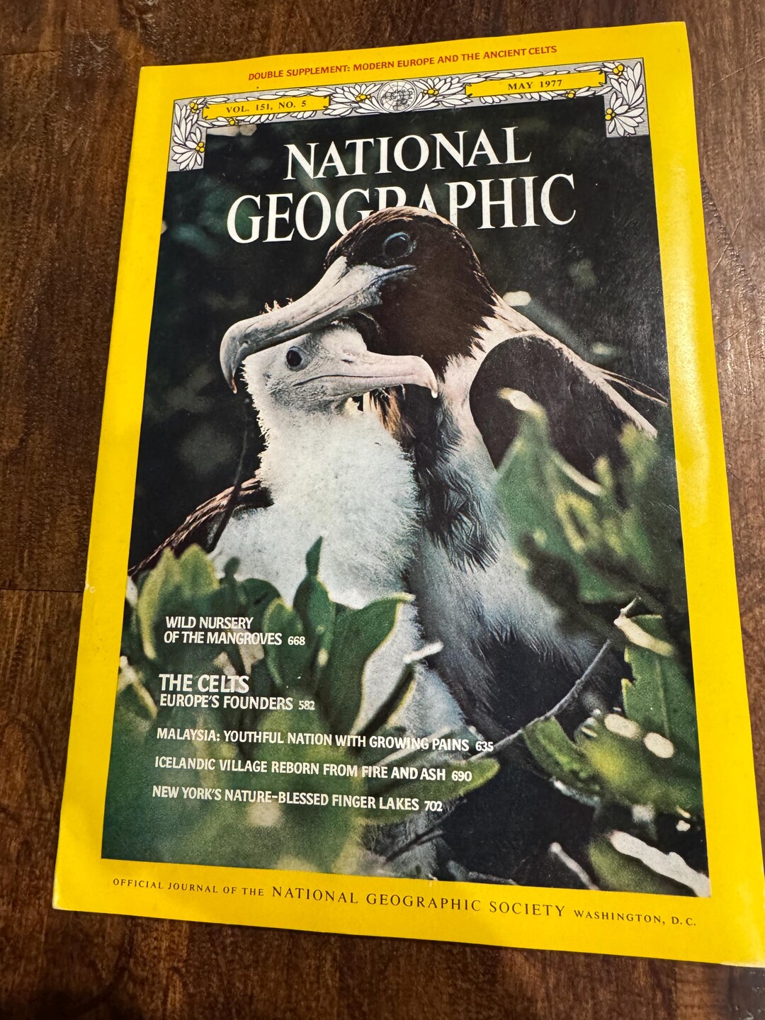 May 1977 National Geographic Magazine With a Celtic Europe Map - Etsy