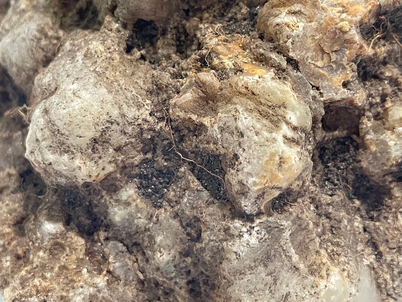 Unopened Indiana Muttonhead Mineraloid Quartz Geode Rock 5 Lb 9.9 Oz ...