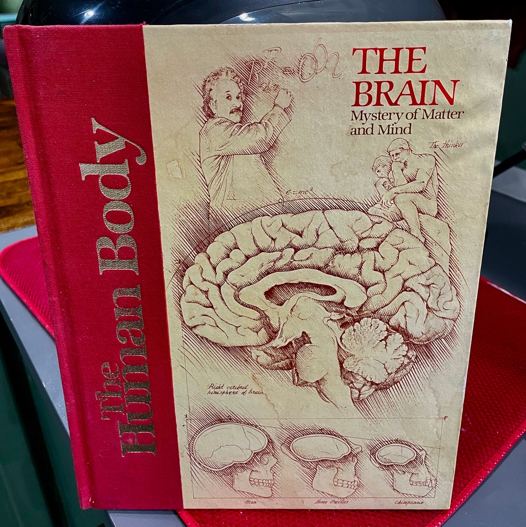 1984 the Brain Mystery of Matter and Mind Hardback - Etsy