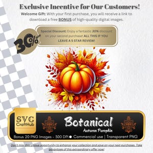 Pumpkin Clipart Bundle - 32 Adorable PNG Fall Pumpkins for Crafting ...
