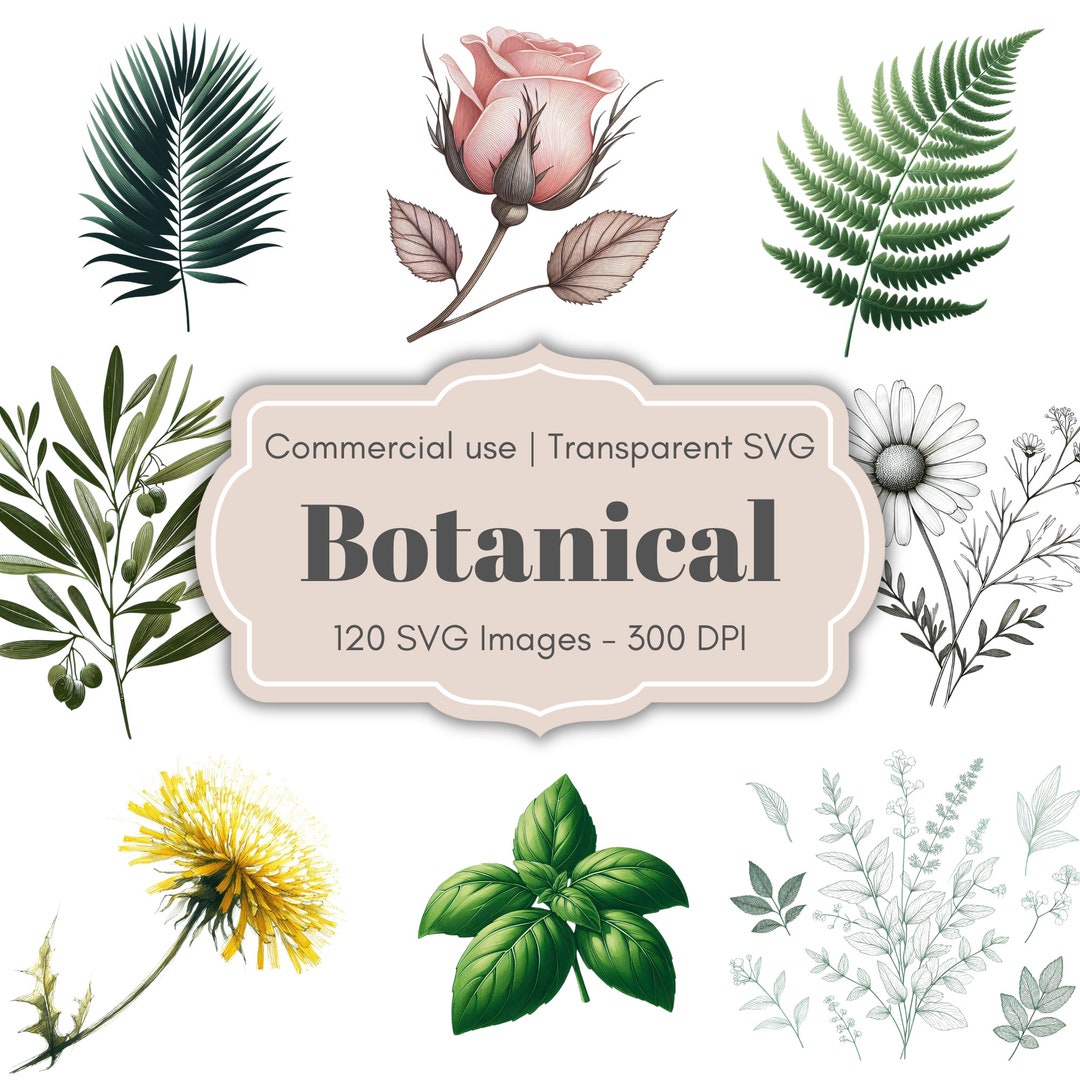 Botanical SVG Bundle | 120 Floral Plant Clipart for Cricut & Silhouette ...