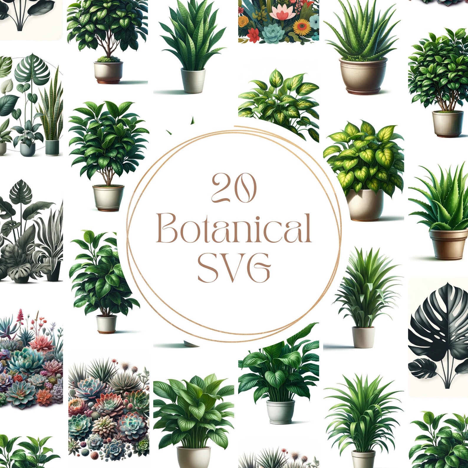 20 Botanical SVG Bundle | Green Houseplant Clipart for Cricut ...