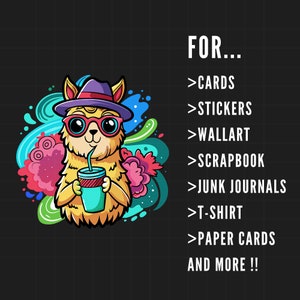 Llama Summer Drink Clipart, Alpaca Clipart, Summer PNG, Illustration ...