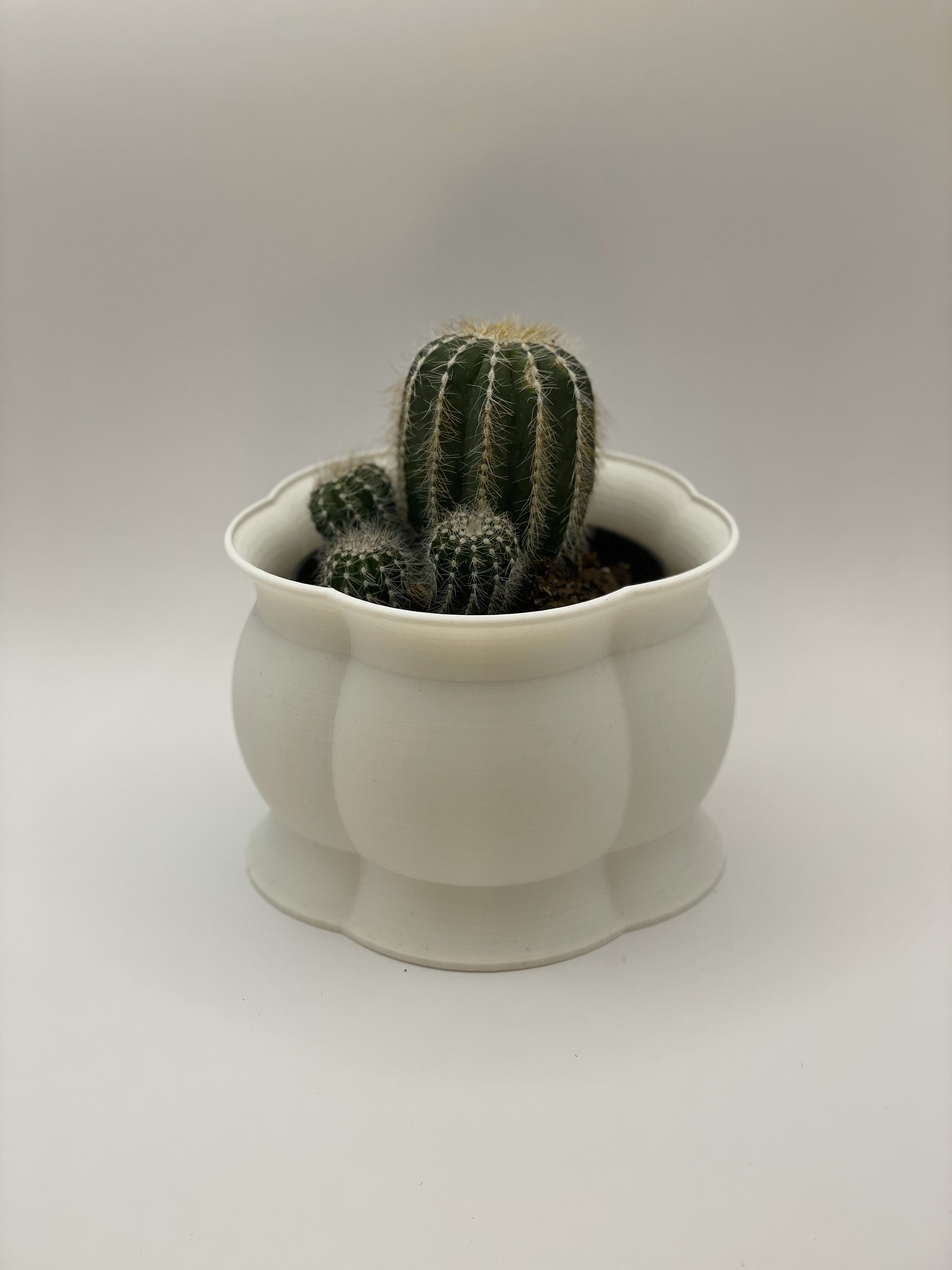 Curves Flower Pot | 3D Printed Planter| Home Decor - Etsy