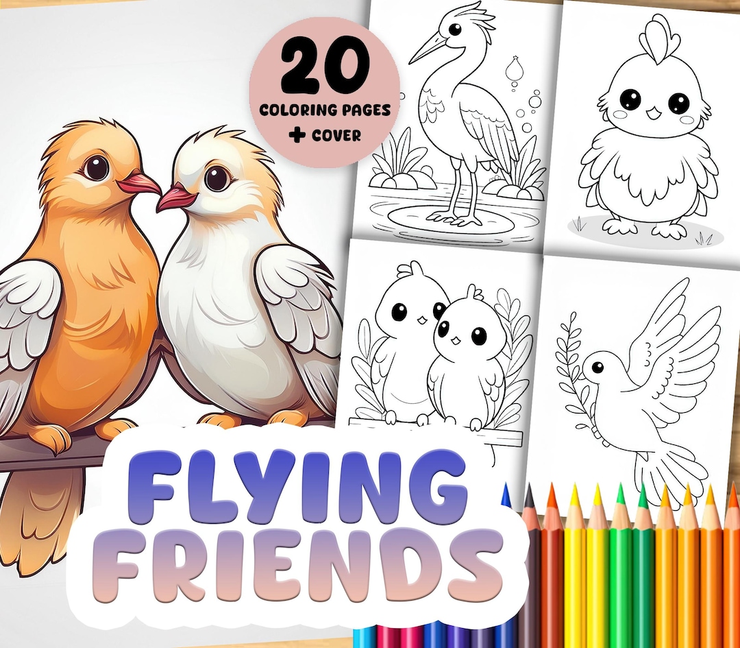 20 Flying Friends Coloring Book for Kids | Simple Bold Coloring Pages ...