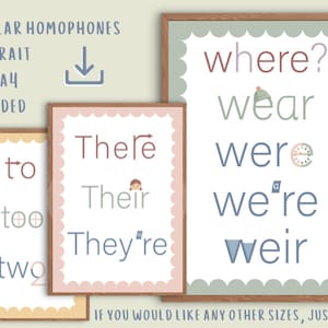 Homophones, Contractions Poster for Primary School, With Illustrations ...