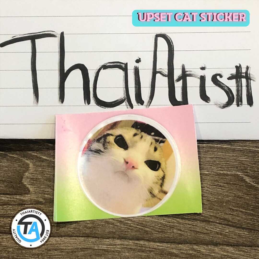 UPSET CAT STICKER, Funny Handmade Sticker, Meme Decor, Funny Decoration ...