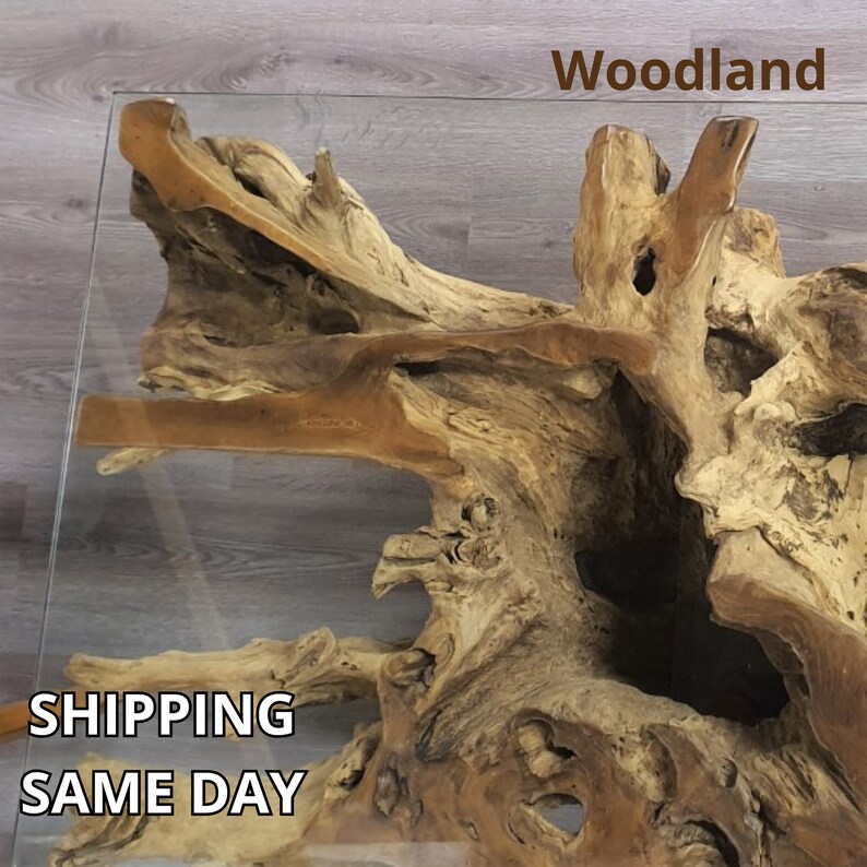 Handcrafted Teak Root Table Unique Organic Furniture for Home Decor ...