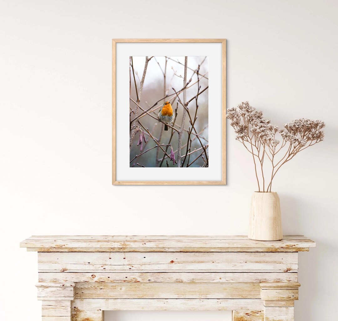 Robin Wall Art, Robin Prints, Robin Decor, Robin Photography, Robin ...