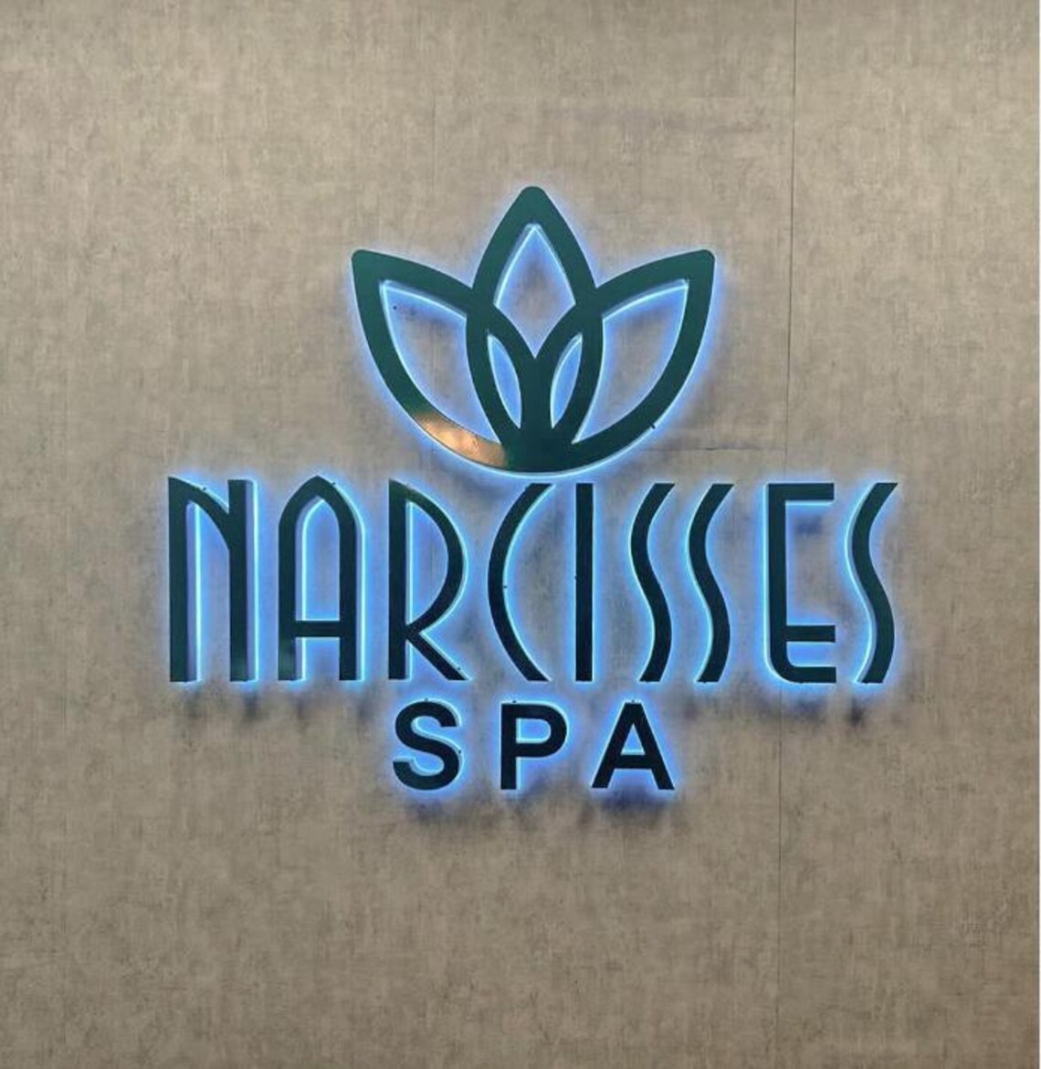 Backlit Metal Sign Outdoor LED Sign, Custom Personalized Logo Sign, ,3D ...