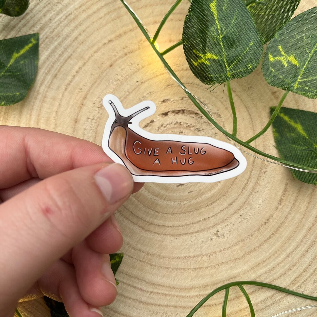 Steve the Slug , give a Slug a Hug Sticker , Cute Cottagecore Insects ...