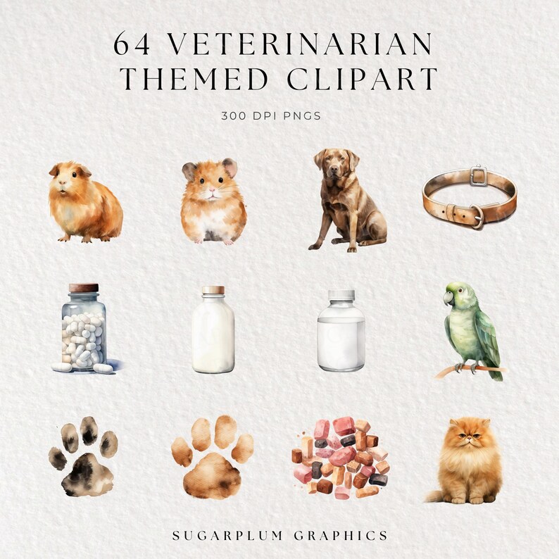 Veterinarian Clipart Set, Watercolor Vet Tech & Animal Doctor Pngs, Dog ...