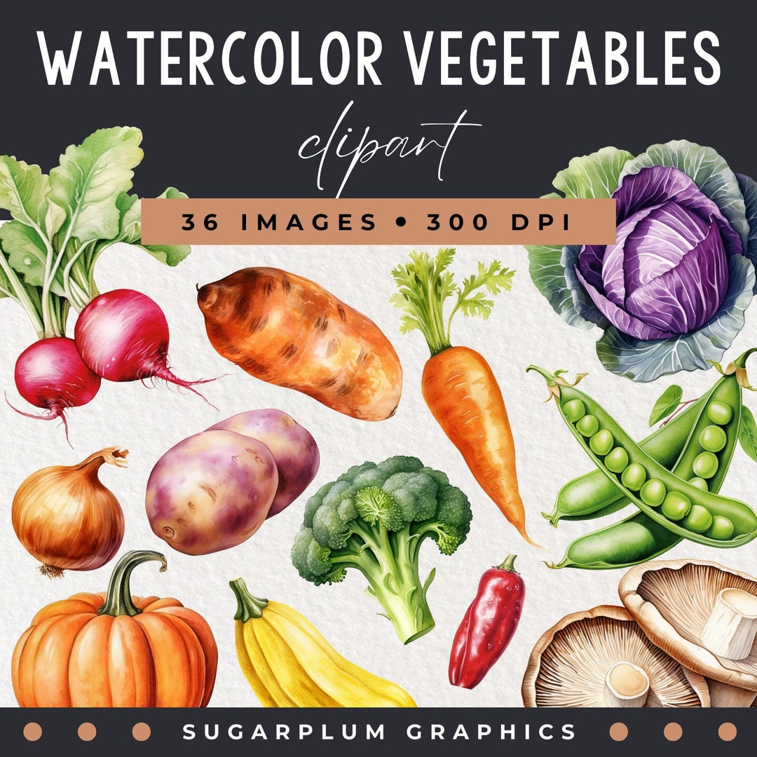 Watercolor Vegetable Clipart Set, Healthy Food Illustrations Including ...