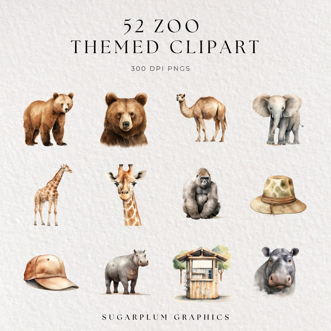 Zoo Animal and Zoo Keeper Clipart, Watercolor Safari and Jungle Themed ...