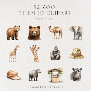 Zoo Animal and Zoo Keeper Clipart, Watercolor Safari and Jungle Themed ...