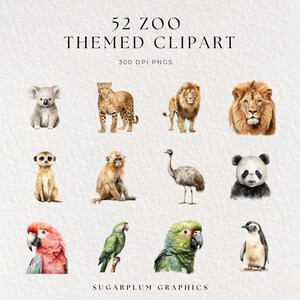 Zoo Animal and Zoo Keeper Clipart, Watercolor Safari and Jungle Themed ...