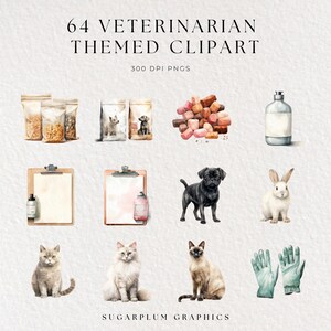 Veterinarian Clipart Set, Watercolor Vet Tech & Animal Doctor Pngs, Dog ...