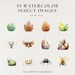 Watercolor Insects Clipart & Border Pack, Cute Spring Bugs Clipart - Etsy