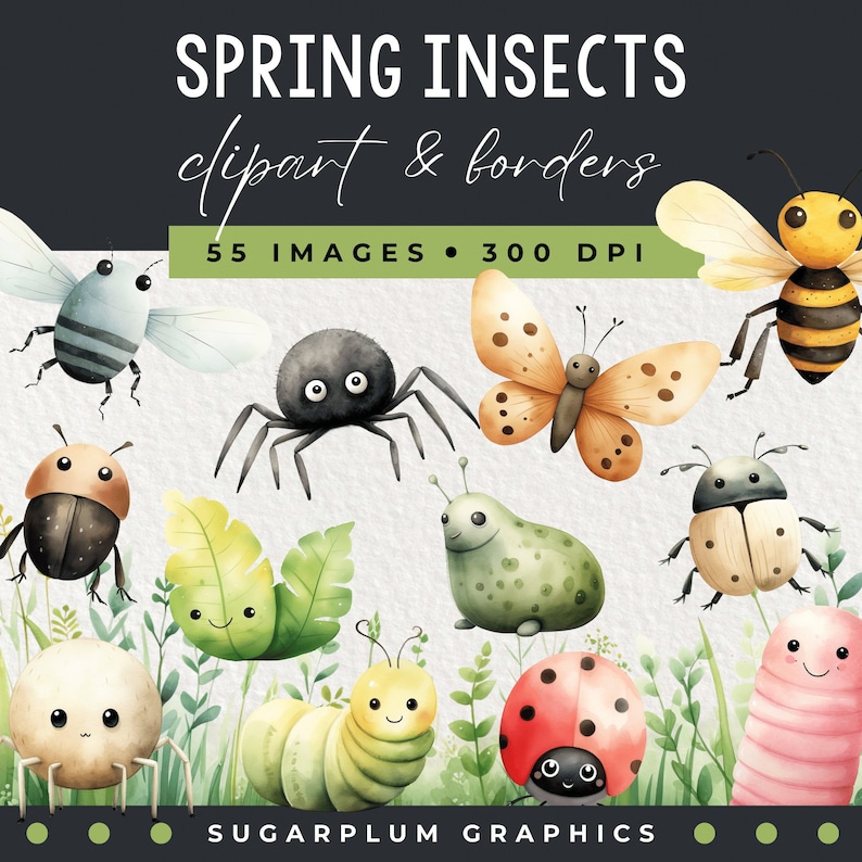 Watercolor Insects Clipart & Border Pack, Cute Spring Bugs Clipart - Etsy