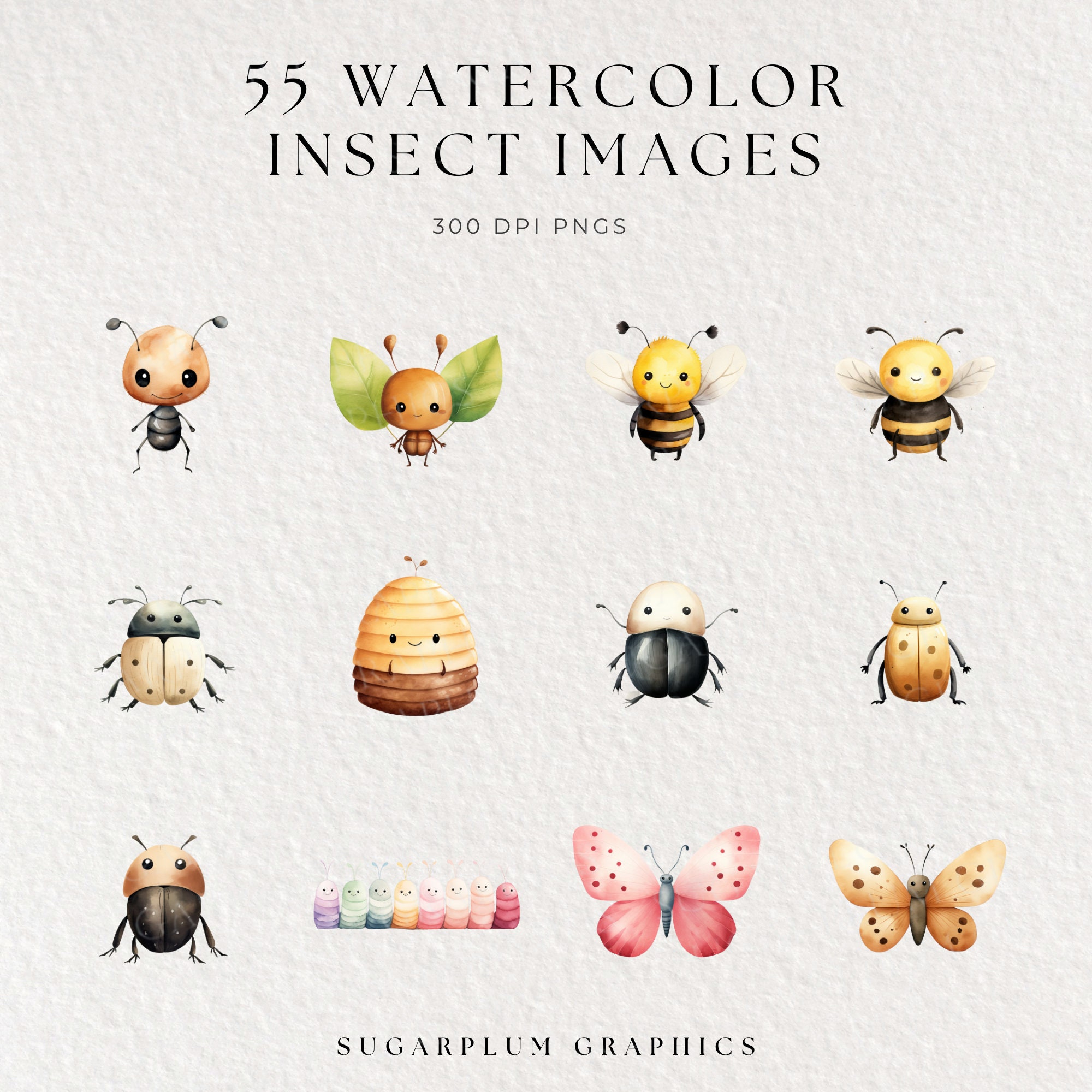 Watercolor Insects Clipart & Border Pack, Cute Spring Bugs Clipart - Etsy