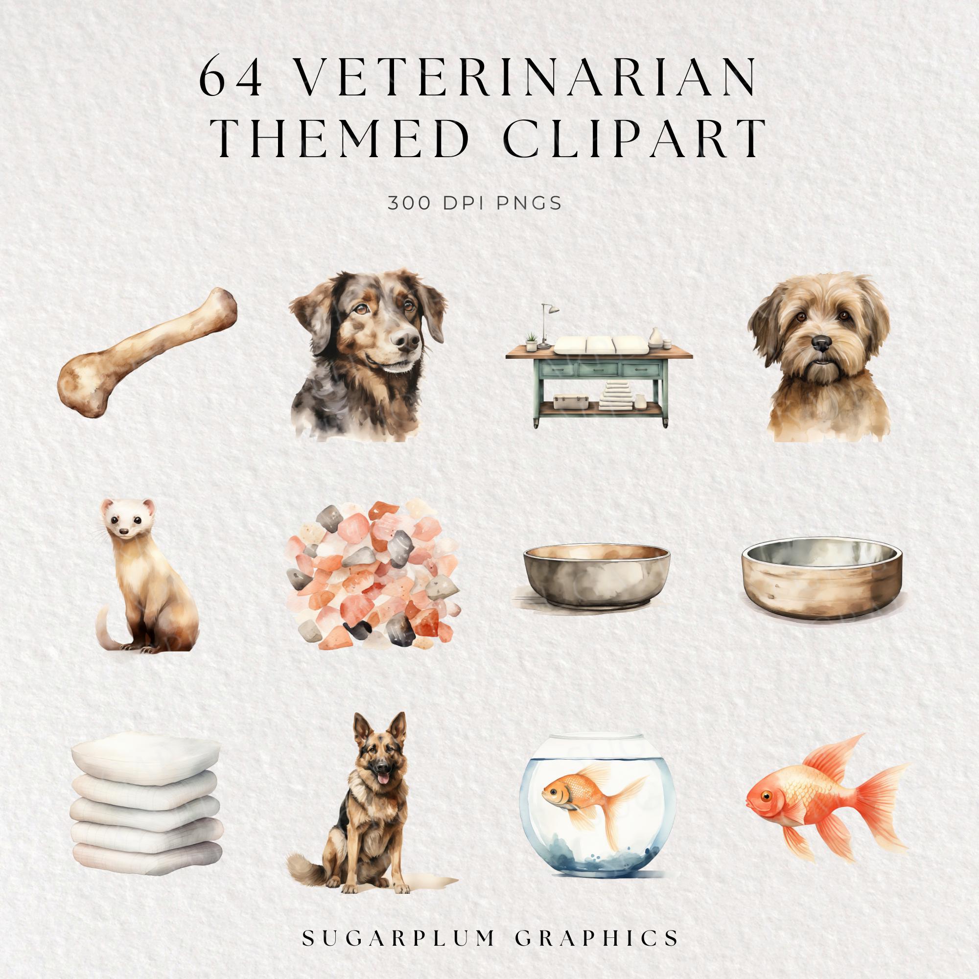 Veterinarian Clipart Set, Watercolor Vet Tech & Animal Doctor Pngs, Dog ...