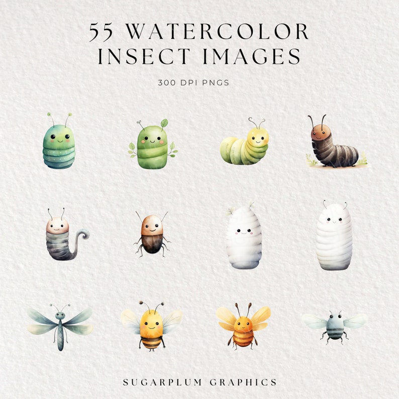 Watercolor Insects Clipart & Border Pack, Cute Spring Bugs Clipart - Etsy