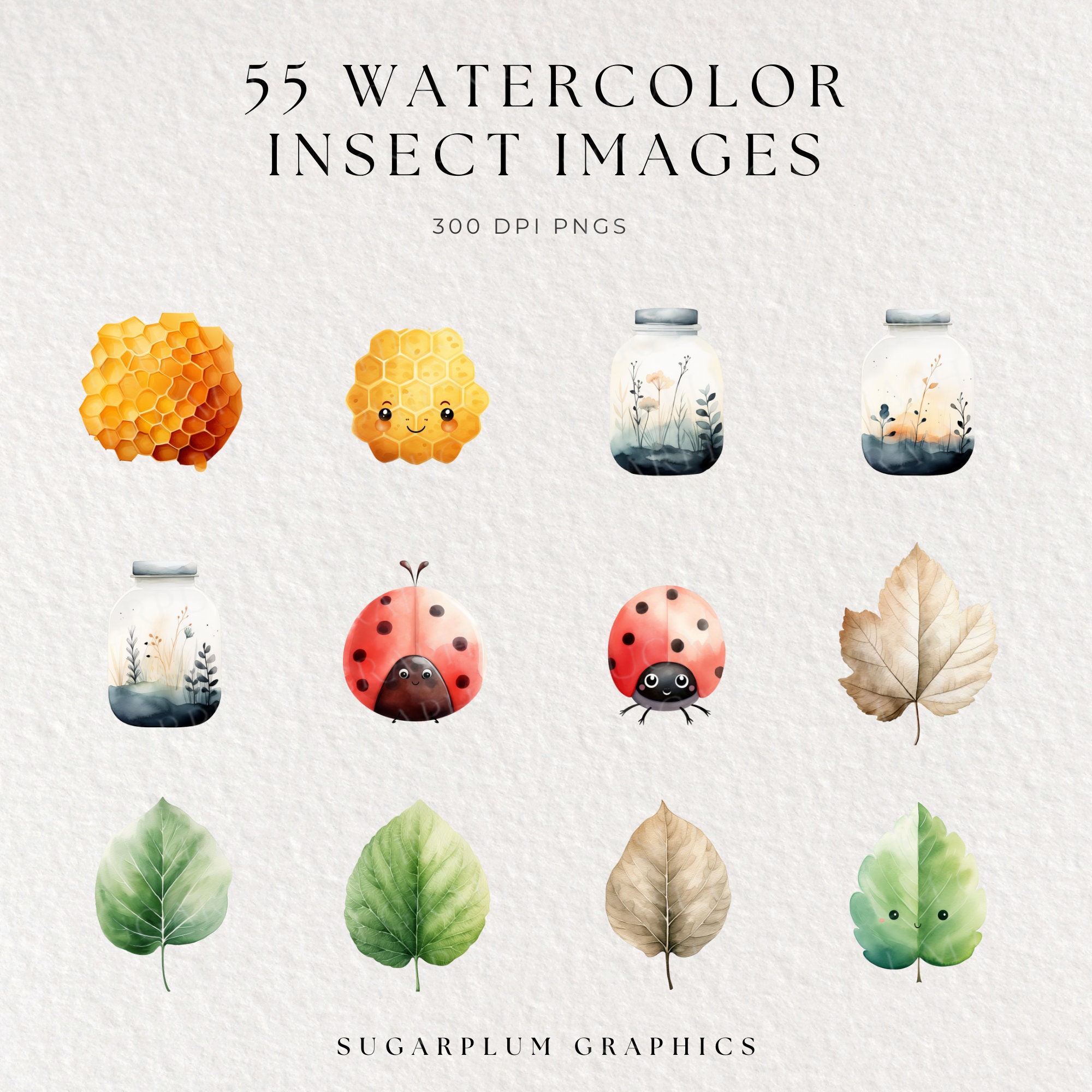 Watercolor Insects Clipart & Border Pack, Cute Spring Bugs Clipart - Etsy