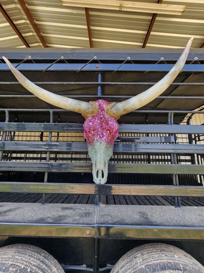 Crystal Longhorn Skull- Custom, Western, Pink, Silver, Ombre - Etsy