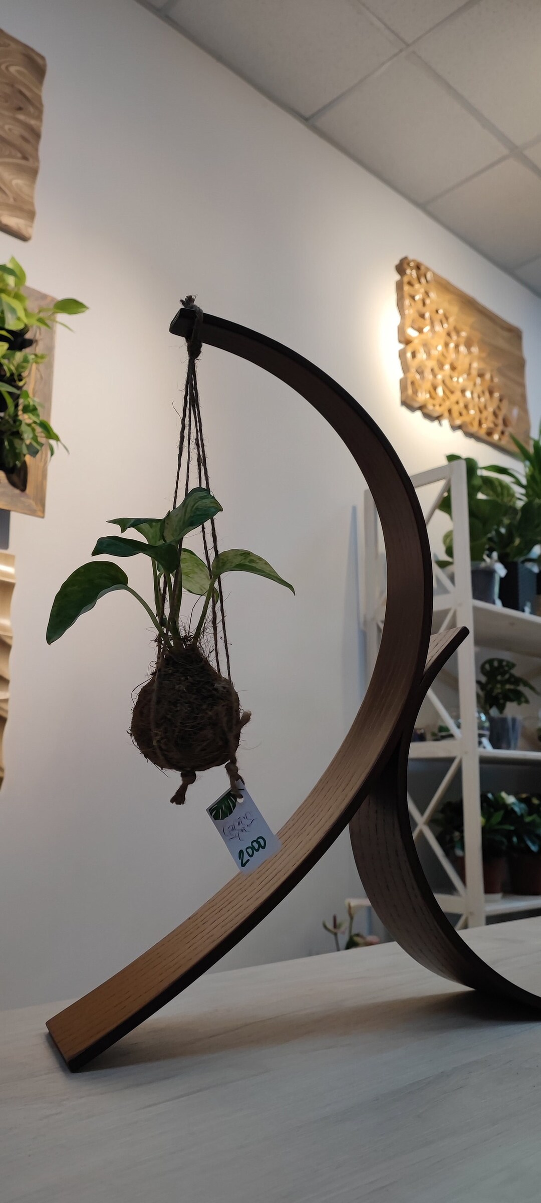 Curved Wooden Flower Stand - Handmade Hanging Plant Holder, Modern ...