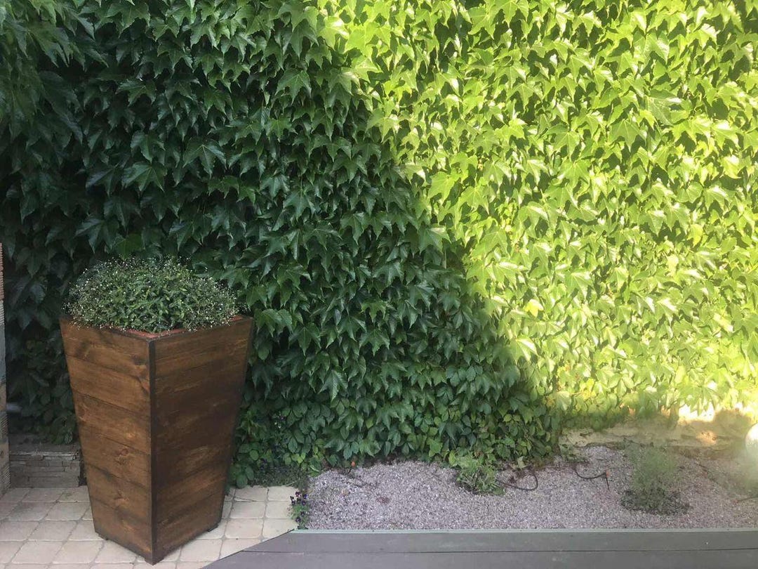 Trapezoid Shaped Wooden Garden Plant Box | Handmade | Eco-decor for ...