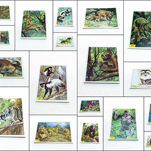 Panini 1979 Mammals Animal Trade Cards Pick Your Sticker Card (number ...