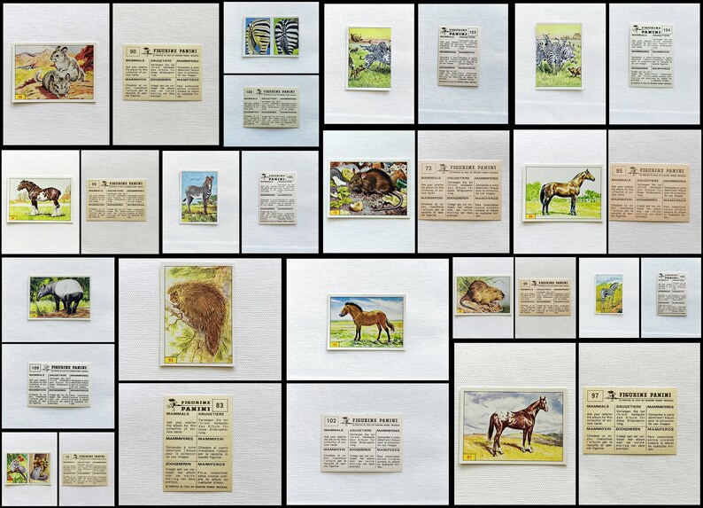 Panini 1979 Mammals Animal Trade Cards Pick Your Sticker Card (number 1 ...