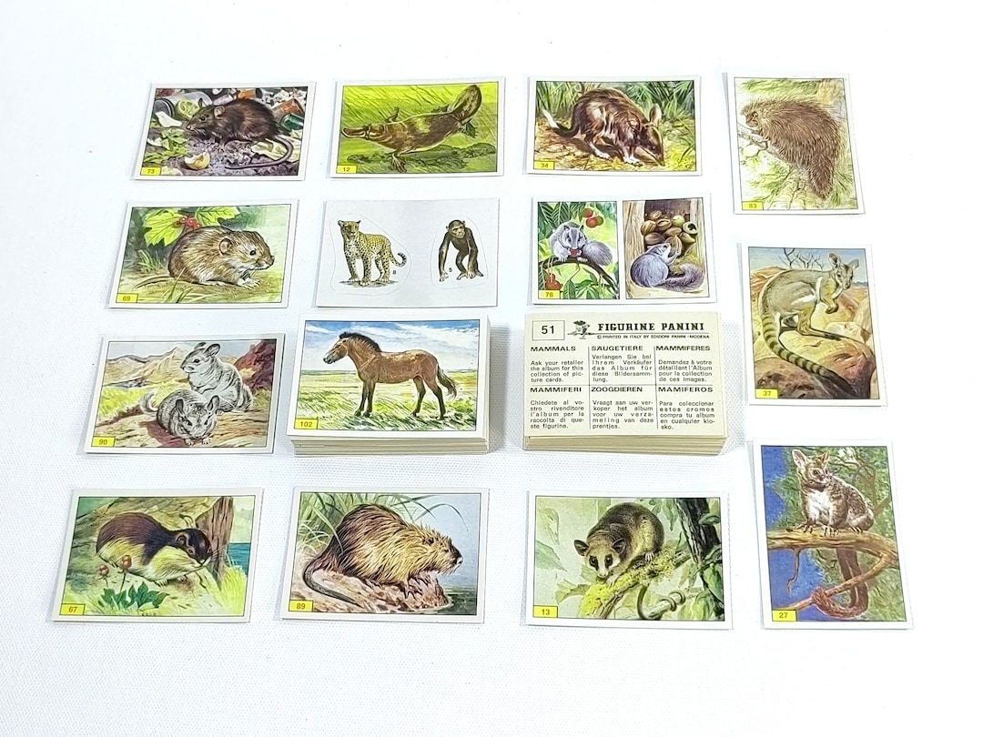 Panini 1979 Mammals Animal Trade Cards Pick Your Sticker Card (number 1 ...