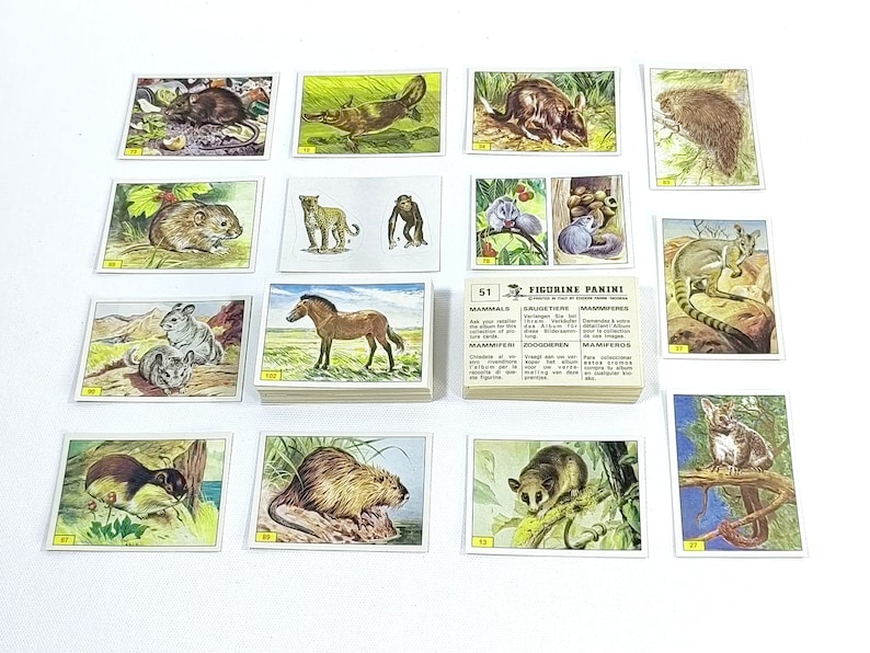 Panini 1979 Mammals Animal Trade Cards Pick Your Sticker Card (number 1 ...