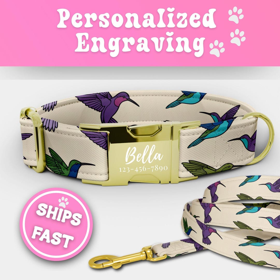Hummingbird Dog Collar & Leash Set Personalized Engraved Puppy Collar ...