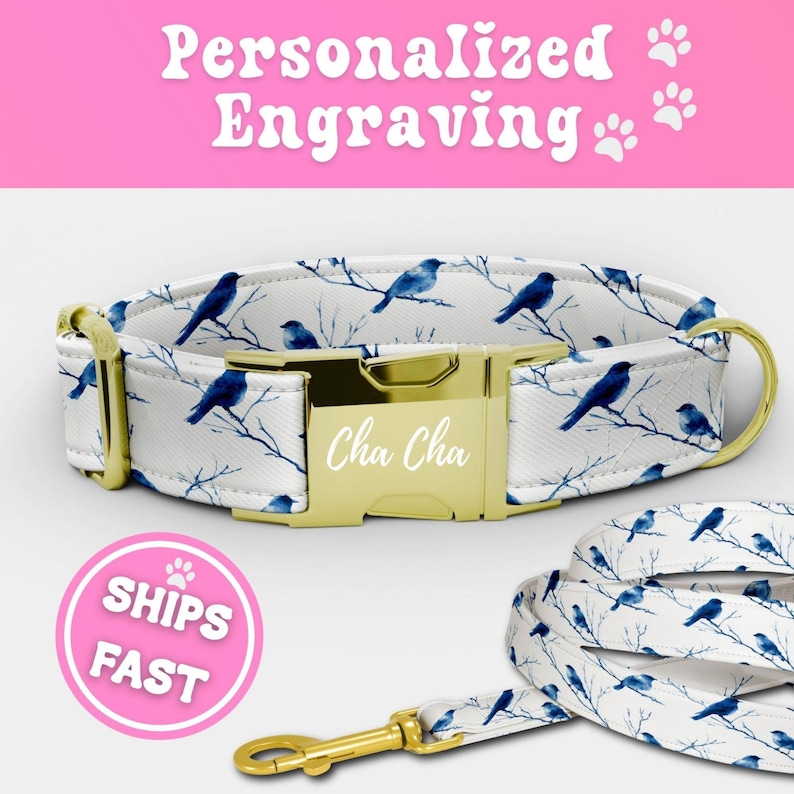 Blue Bird Personalized Puppy Dog Collar Leash Set Engraved Adjustable ...