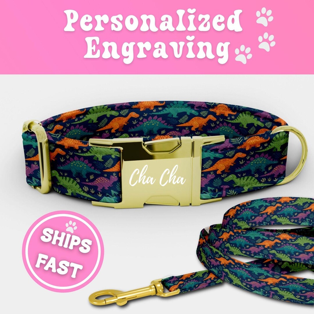 Dino Dog Collar Leash Set Personalized Jurassic Dinosaur Engraved Puppy ...