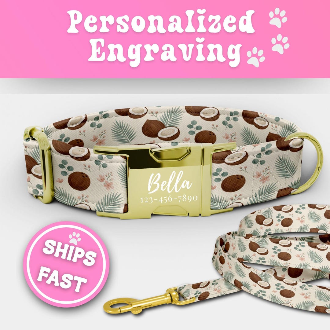 Personalized Coconuts Dog Collar & Leash Set Custom Coconut Dog Collar ...