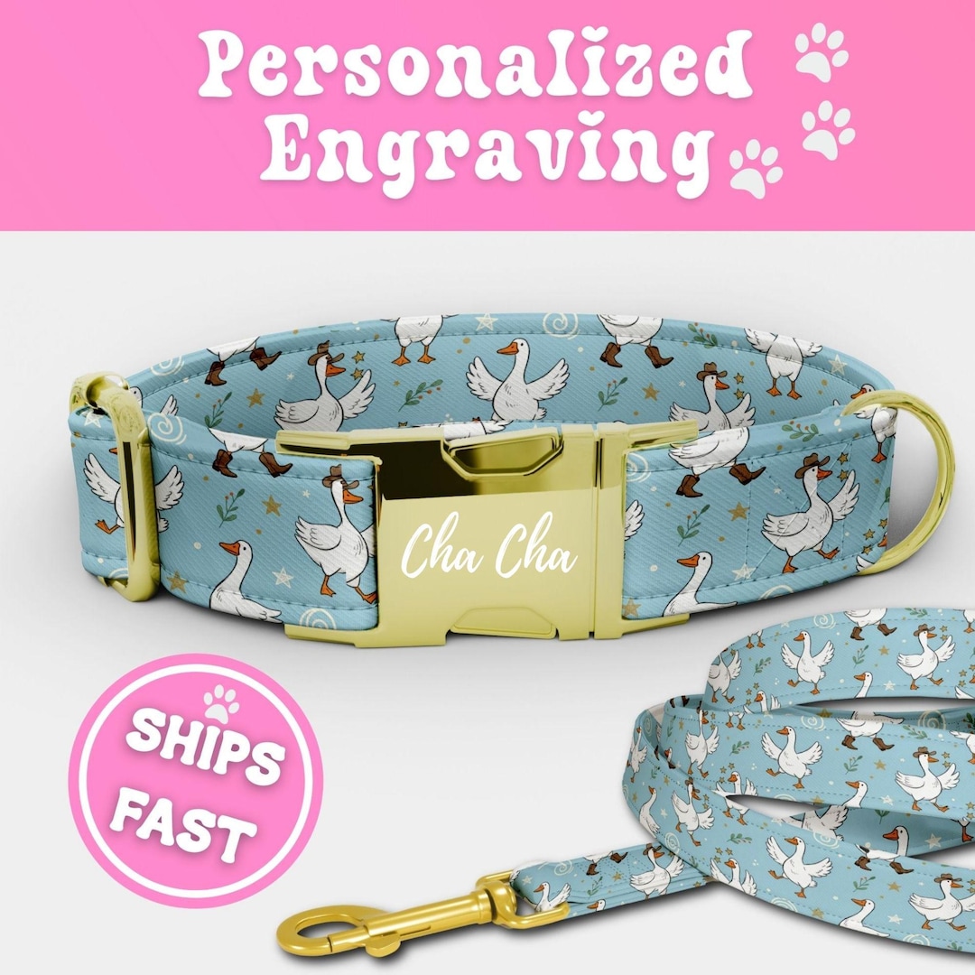 Personalized Goose Dog Collar Leash Set Matching Silly Engraved Goose ...