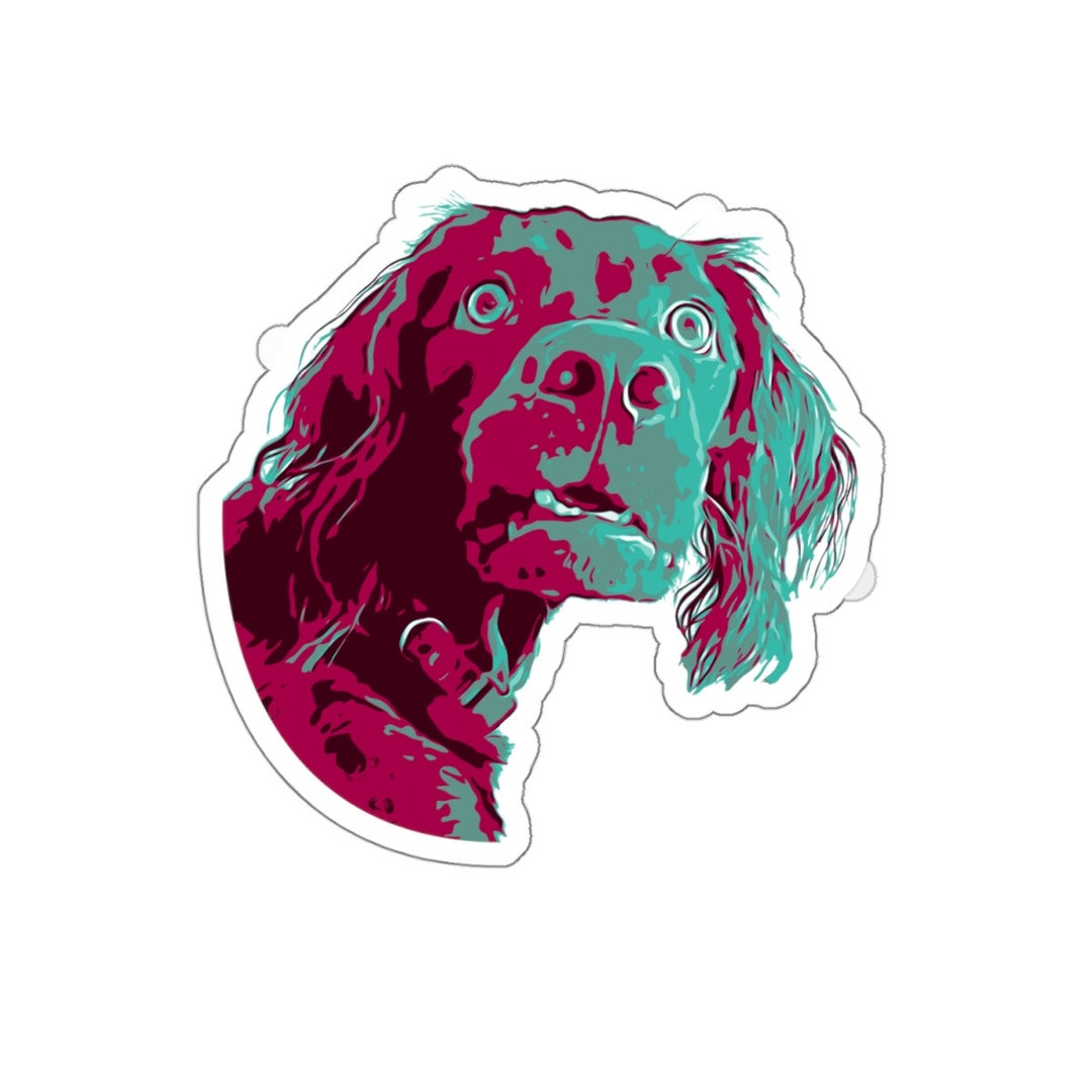 Confused Dog Meme Awkward Dog Funny Dog Sticker Trending Gift for Dog ...