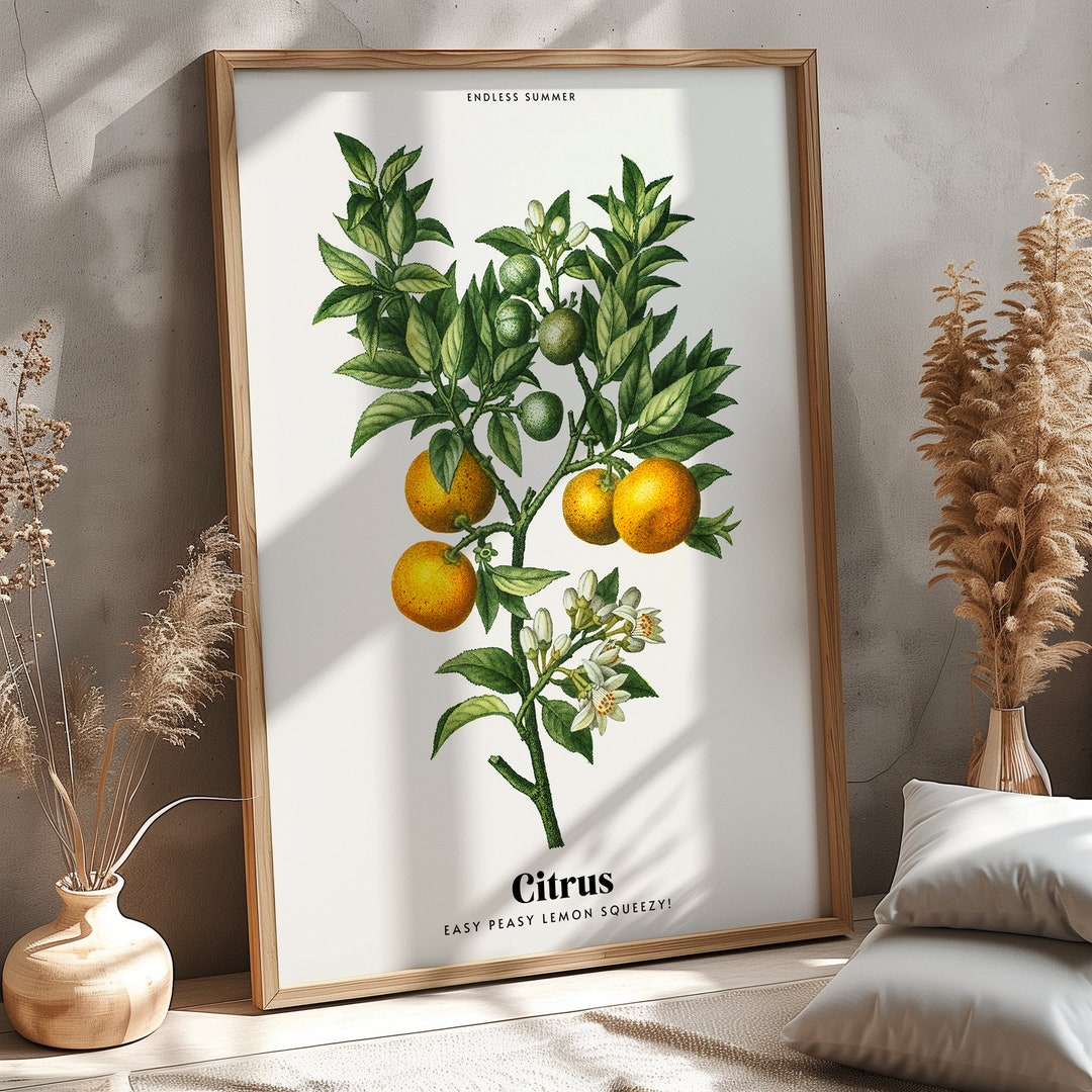 Antique Vintage Botanical Citrus Poster - Etsy