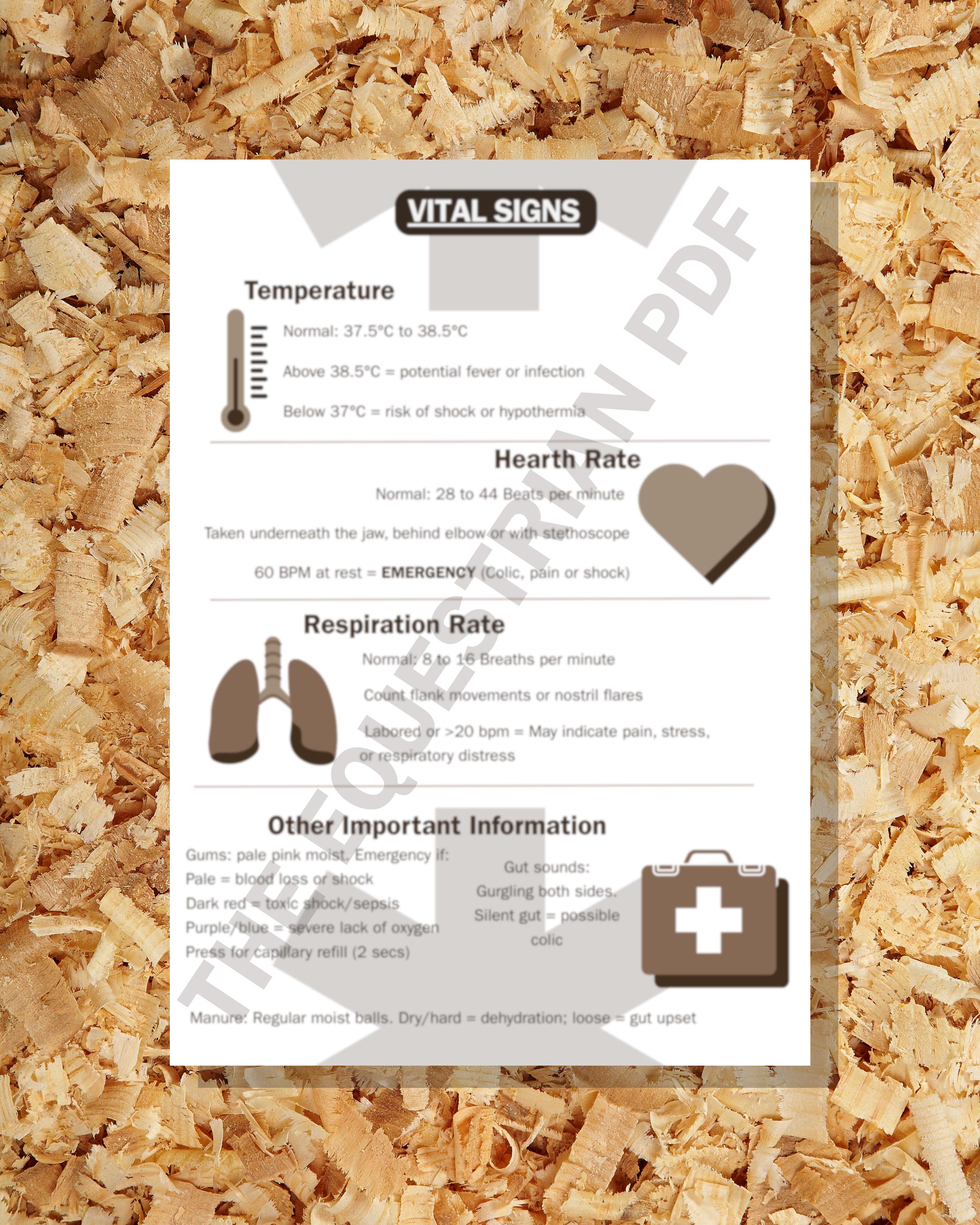 Printable Horse Vital Signs Chart: Equine Health Reference Guide (PDF ...